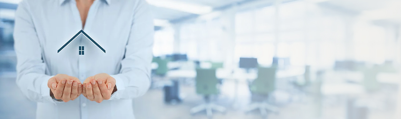 Asset Protection Services and Consulting